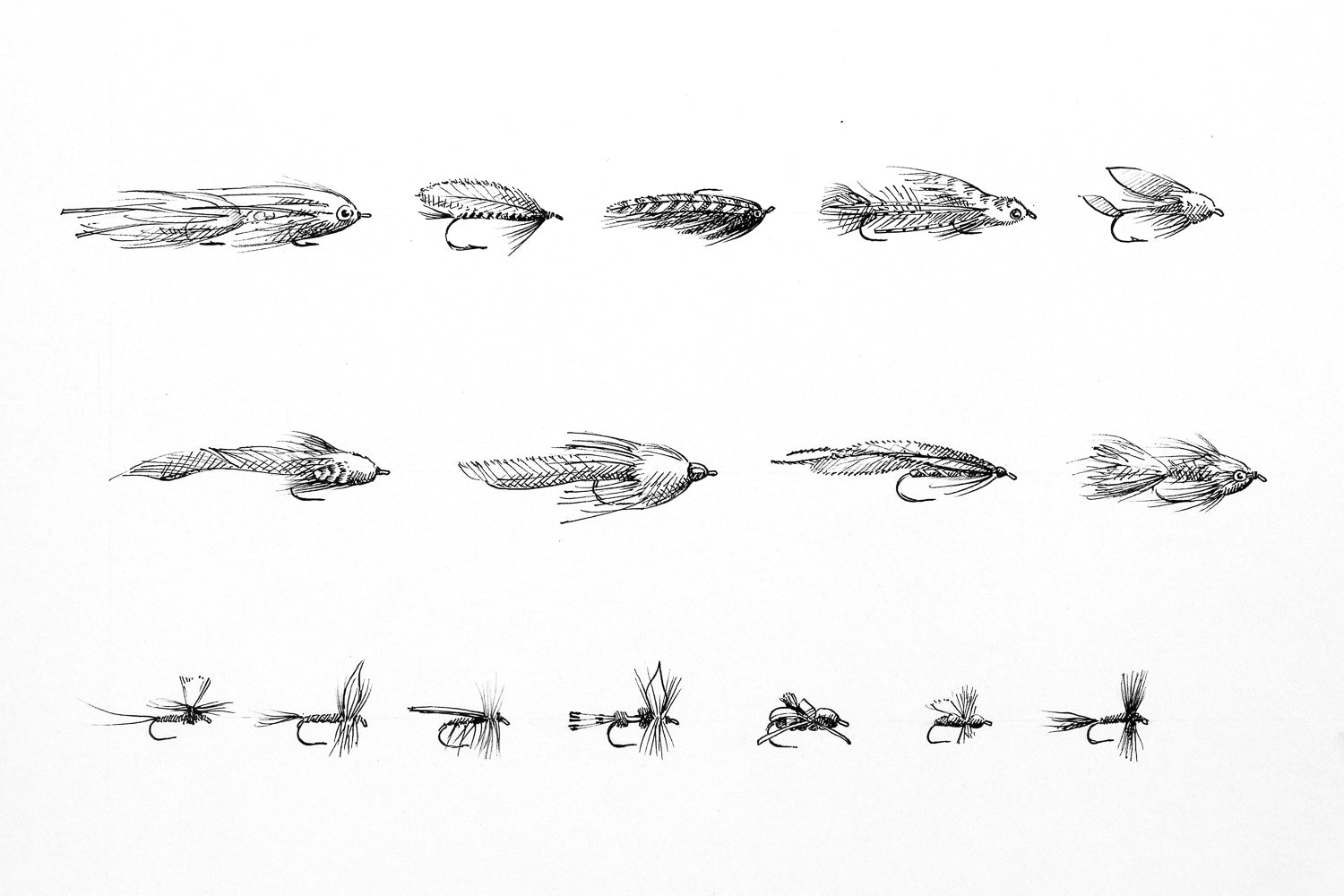 Fly Fishing Drawing
